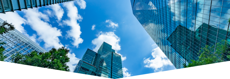 Company Information｜Tokai Tokyo Financial Holdings